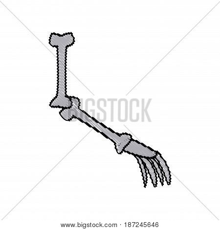 Cartoon Arm Bone Part Vector & Photo (Free Trial) | Bigstock