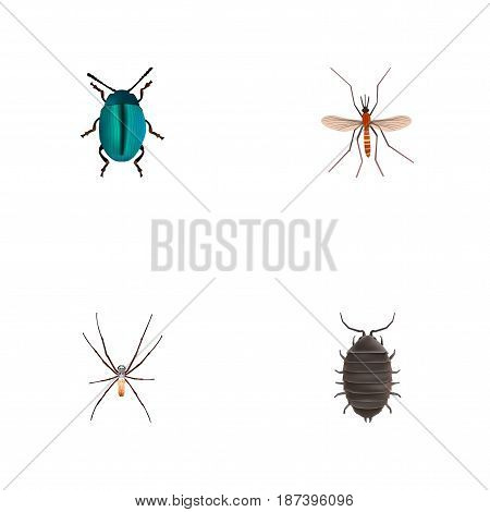 Realistic Bug, Spider Vector & Photo (Free Trial) | Bigstock