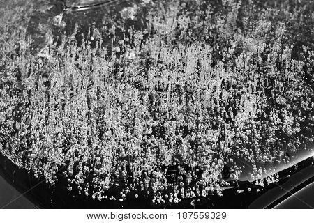 Frozen Gas Bubbles Image & Photo (Free Trial) | Bigstock
