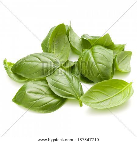 Sweet Basil Herb Image & Photo (Free Trial) | Bigstock