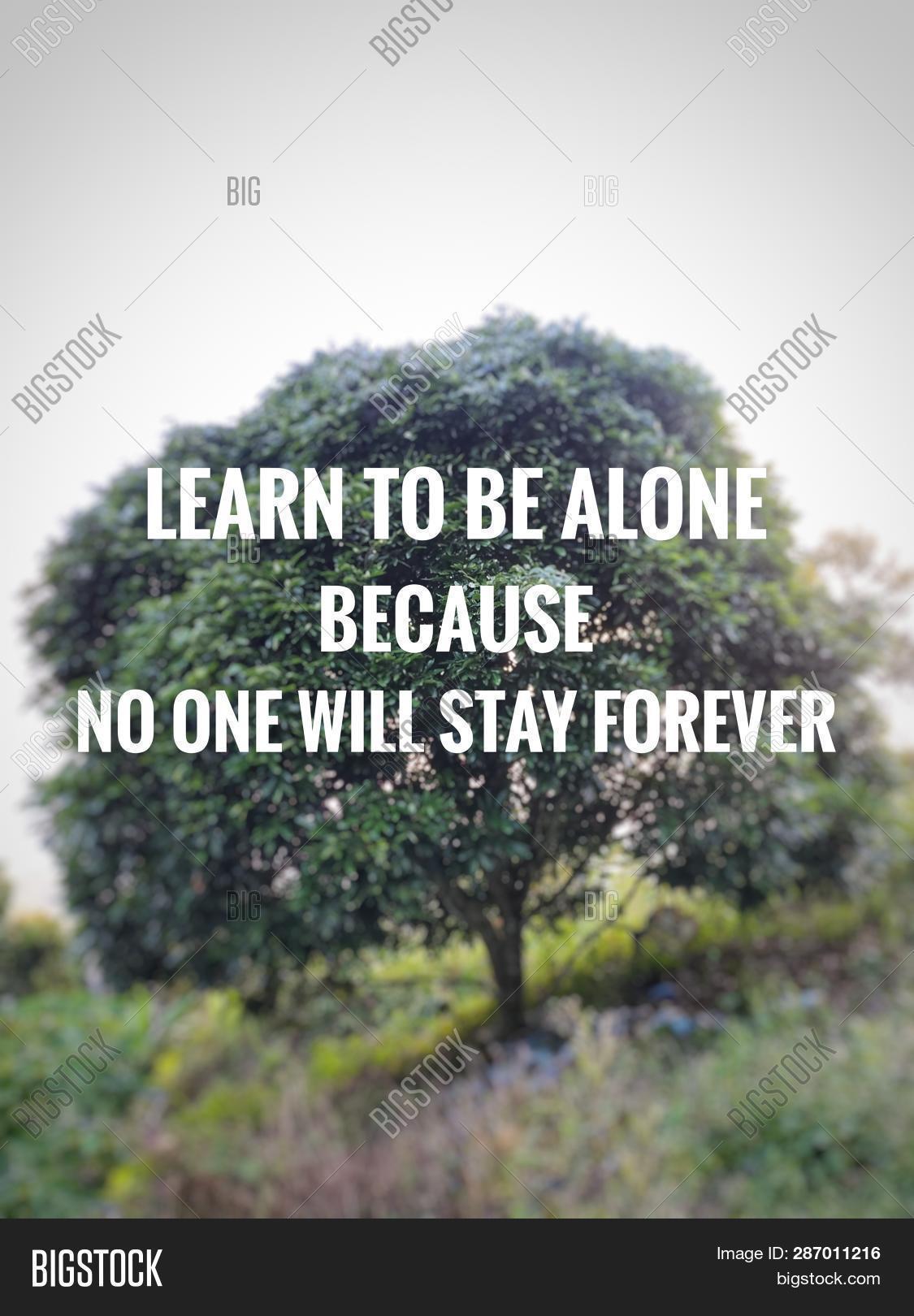 Forever Alone Clear Background