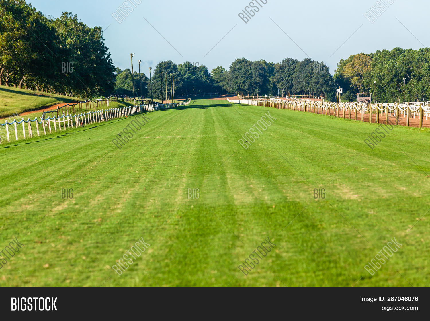 Imagen y foto Horse Race Grass (prueba gratis) | Bigstock