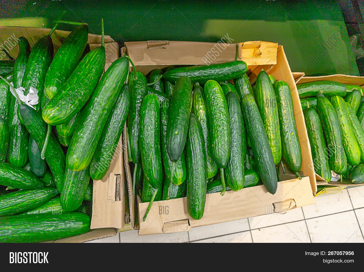 Green Cucumbers On Image & Photo (Free Trial) | Bigstock