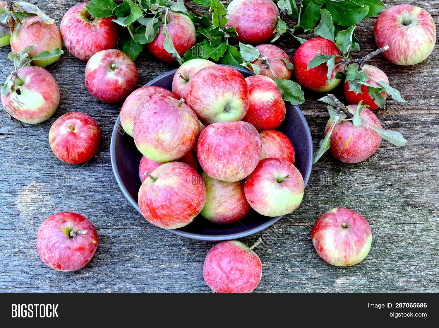 Fresh Red Apples. Image & Photo (Free Trial) | Bigstock