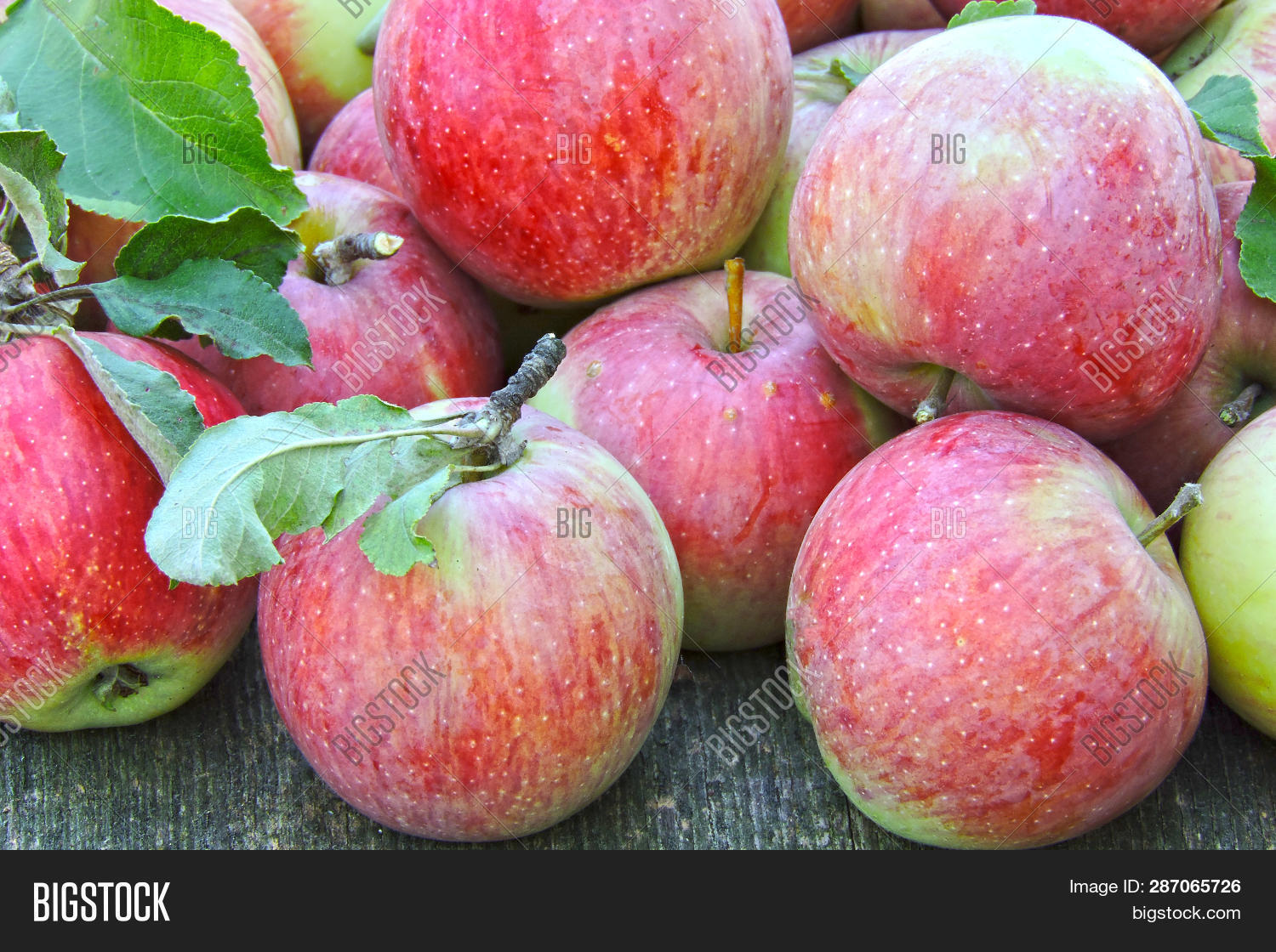 Fresh Red Apples. Image & Photo (Free Trial) | Bigstock