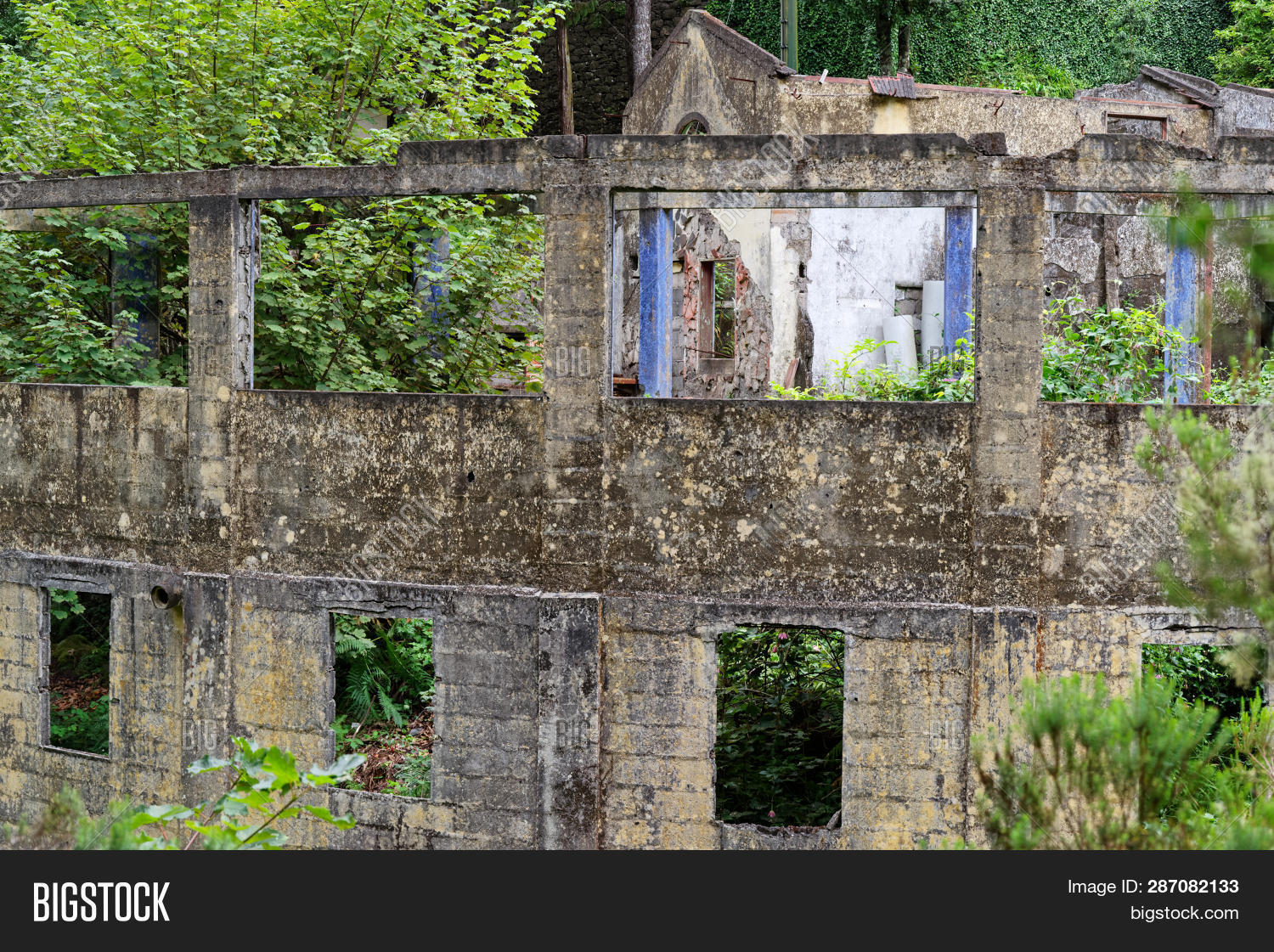 Ruins Forest Architecture Free Enchanting Forest Tower Image