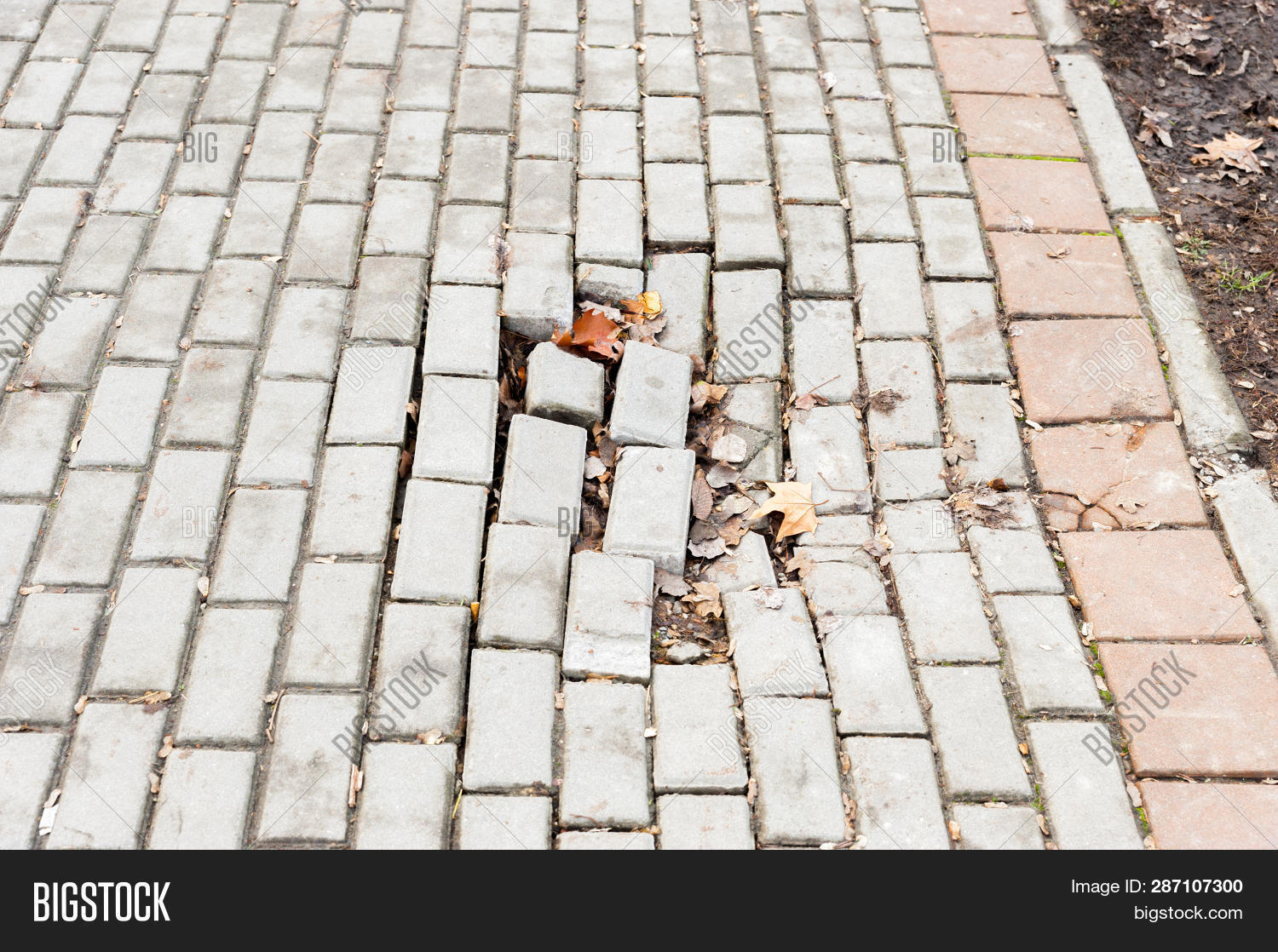Damaged Sidewalk, Image & Photo (Free Trial) | Bigstock