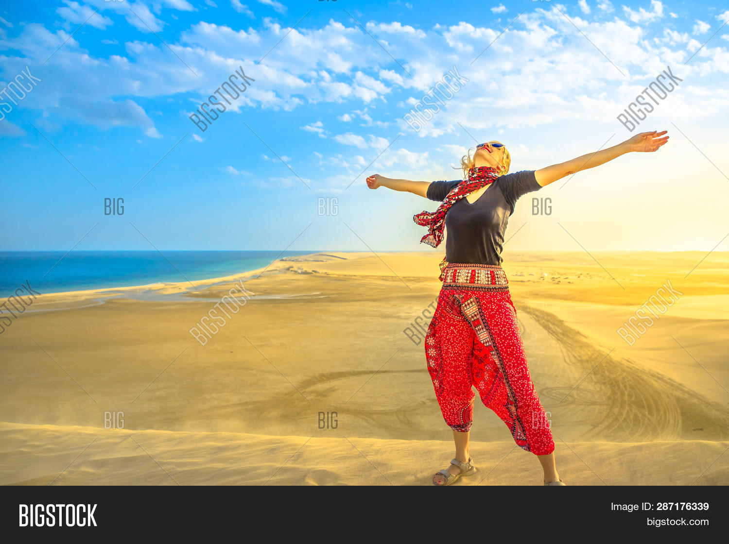 Aerial View Inland Sea Image & Photo (Free Trial) | Bigstock