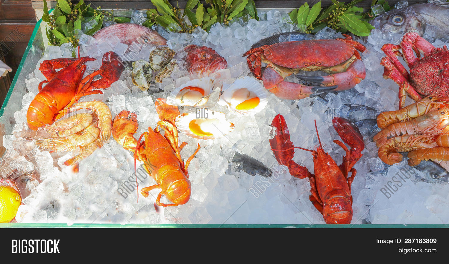 Seafood On Ice, Fresh Image & Photo (Free Trial) | Bigstock