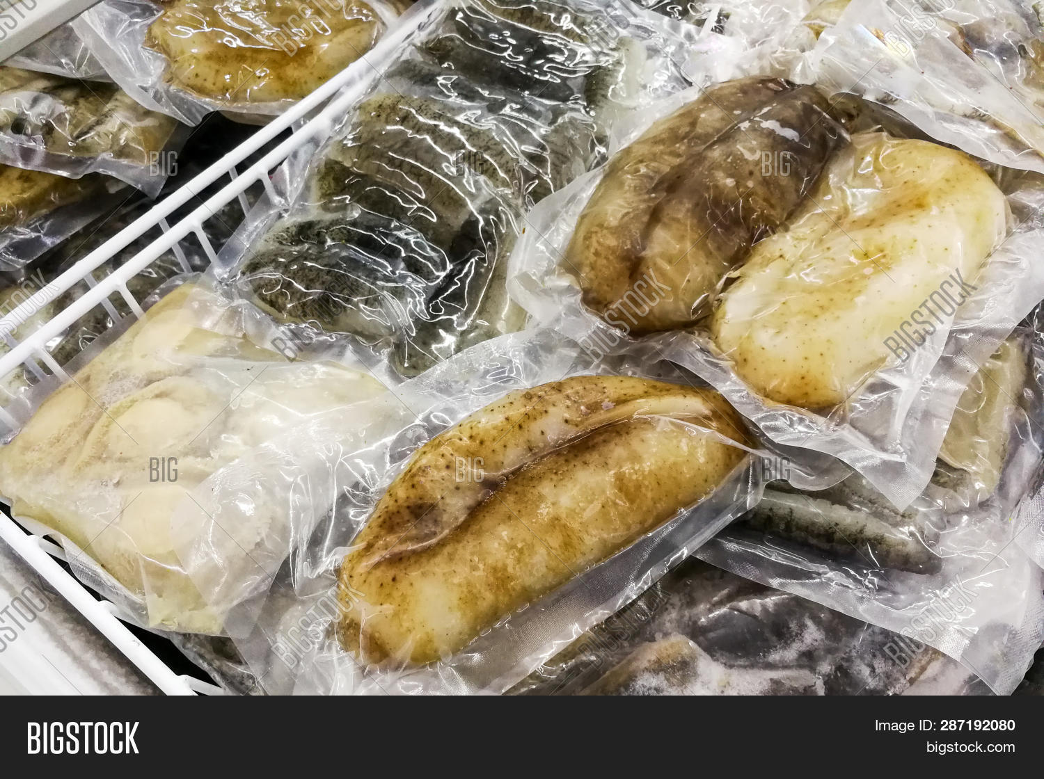 Frozen Fresh Abalone Image & Photo (Free Trial) | Bigstock