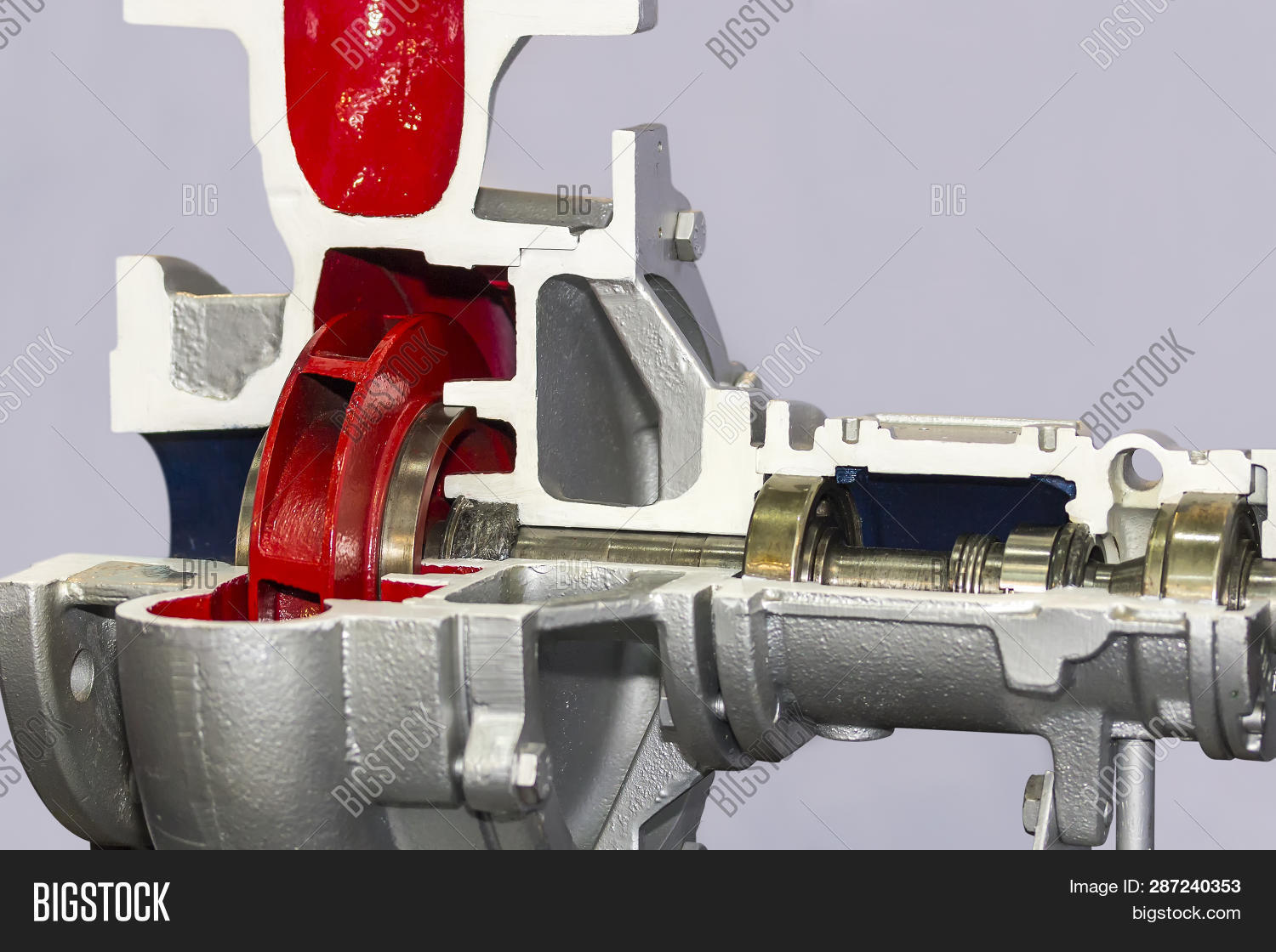 Close Cross Section Image & Photo (Free Trial) | Bigstock