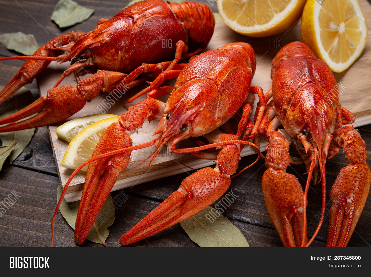 Crayfish. Red Boiled Image & Photo (Free Trial) | Bigstock