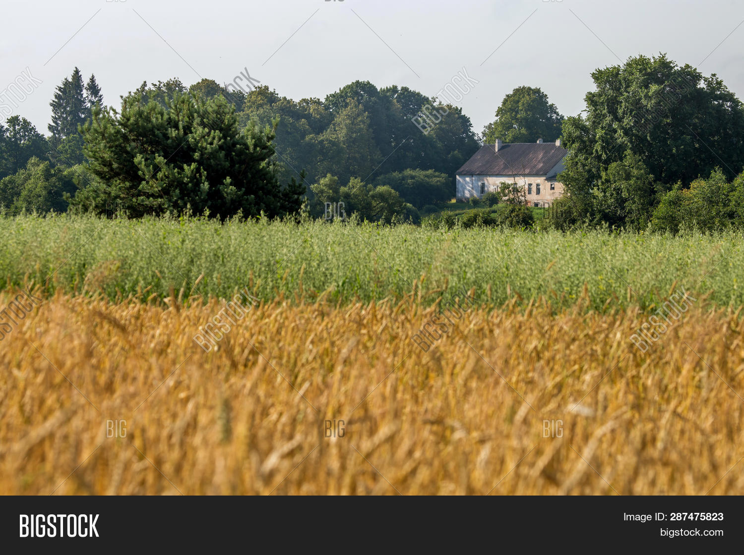 Country House Near Image & Photo (Free Trial) | Bigstock