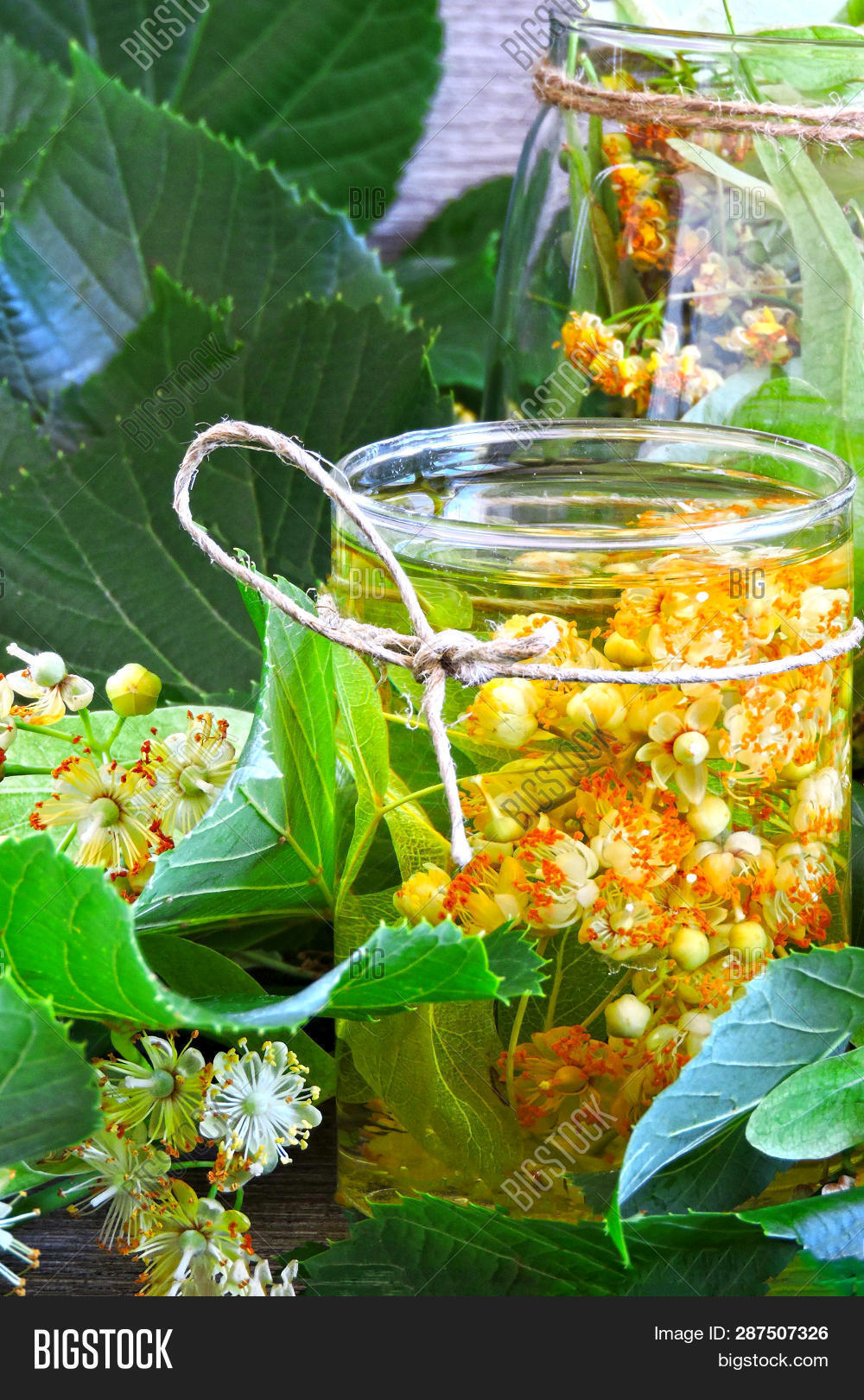 Linden Linden Tea. Image & Photo (Free Trial) | Bigstock