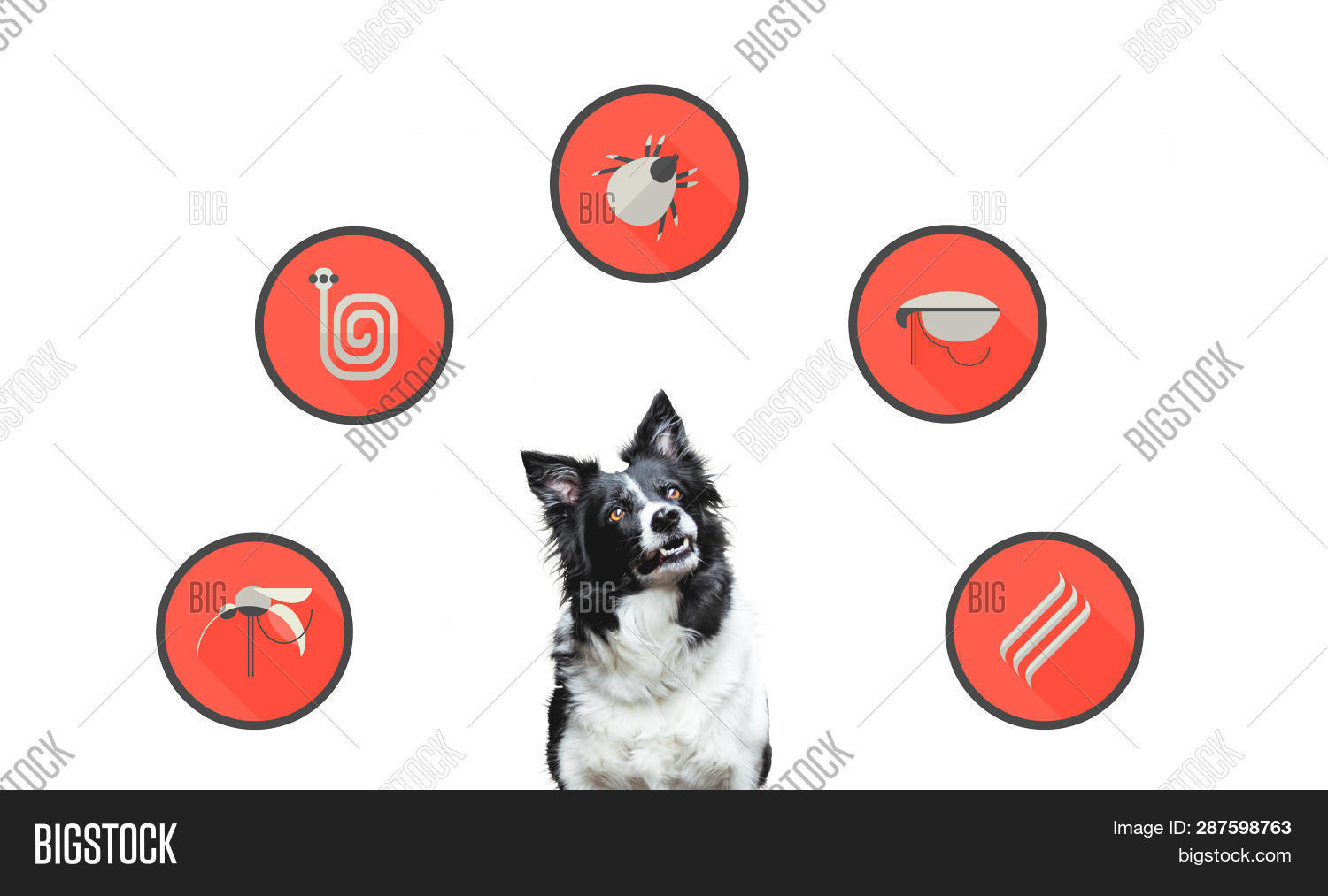 Portrait Dog Flat Image & Photo (Free Trial) | Bigstock