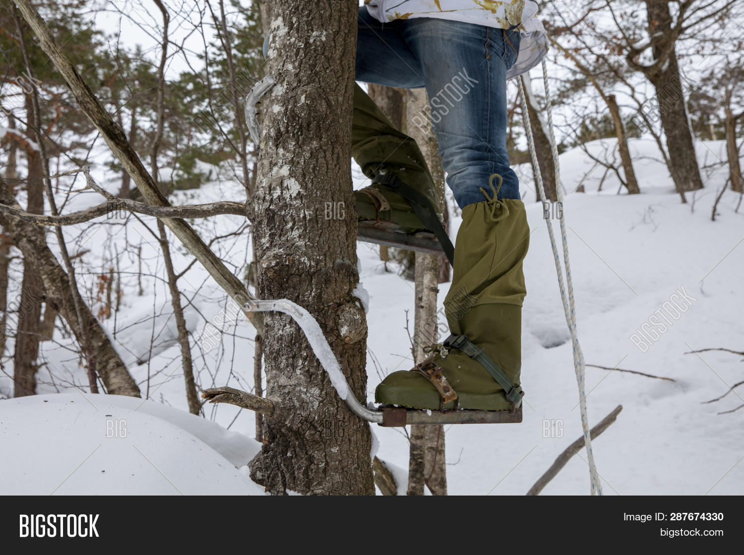 Legs Man Climbing Tree Image & Photo (Free Trial) | Bigstock