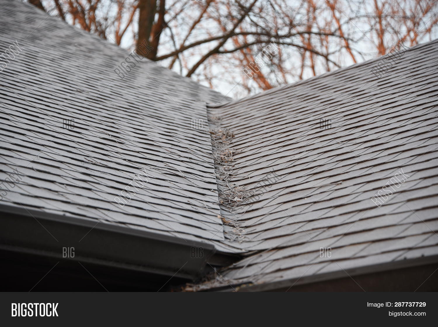 Asphalt Shingles House Image & Photo (Free Trial) | Bigstock