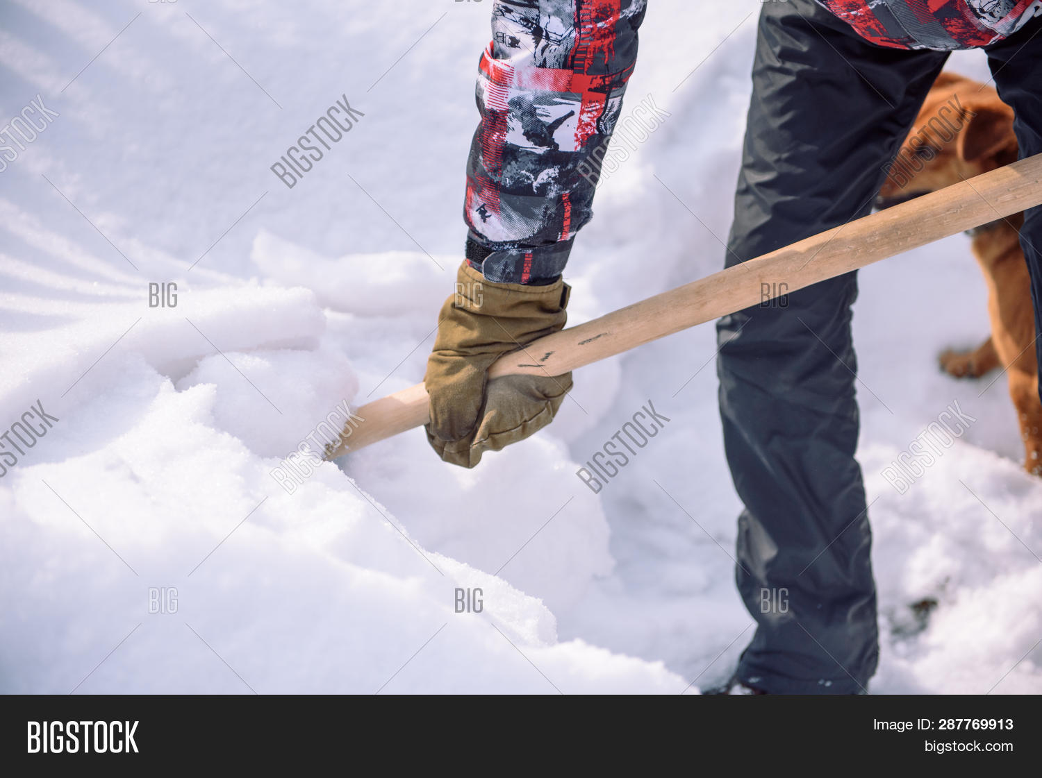 Clean Snow Shovel. Man Image & Photo (Free Trial) | Bigstock