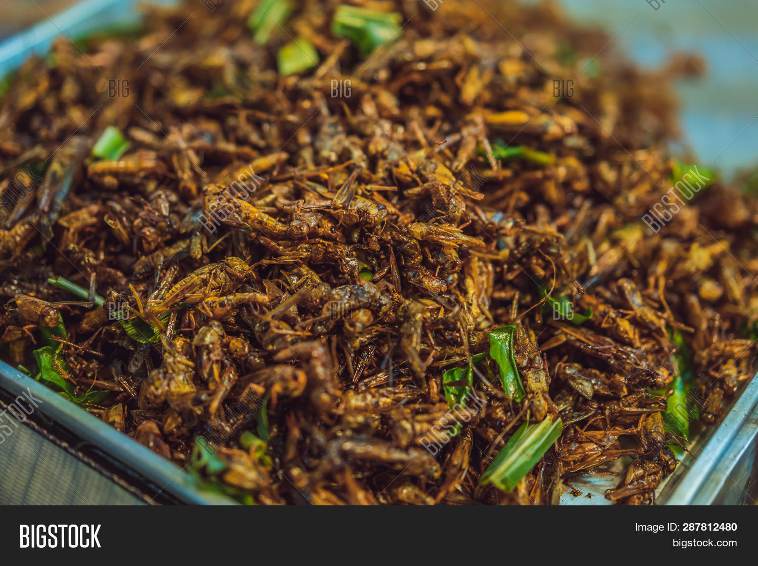 Fried Insects, Bugs Image & Photo (Free Trial) | Bigstock