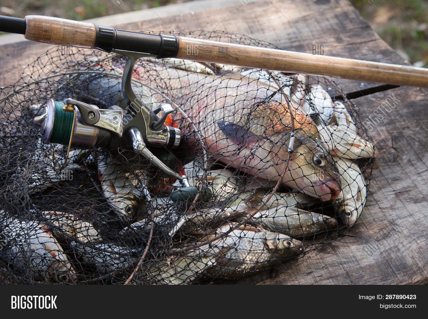 Trophy Fishing. Image & Photo (Free Trial) | Bigstock
