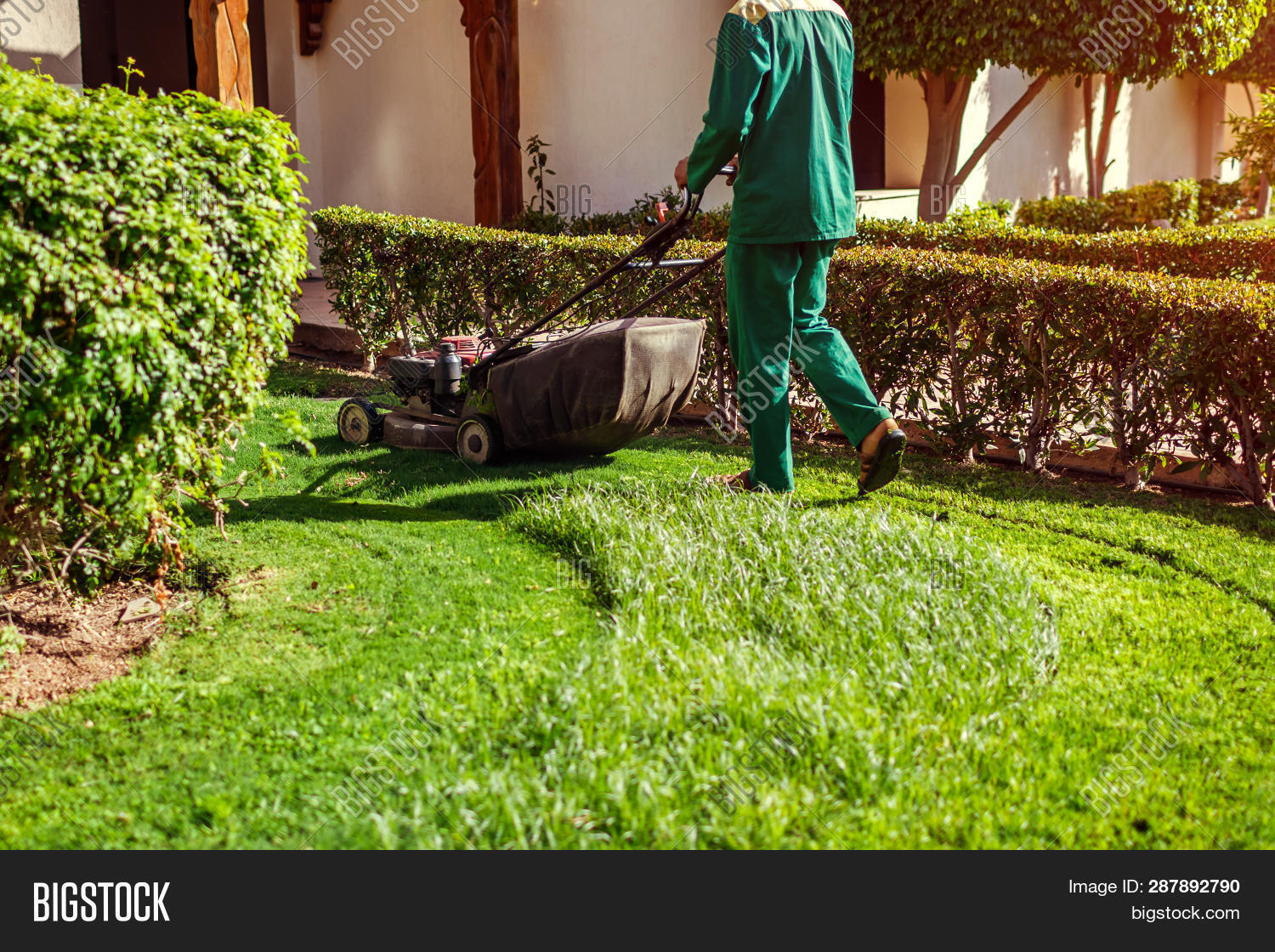 Man Mowing Grass Lawn Image & Photo (Free Trial) | Bigstock