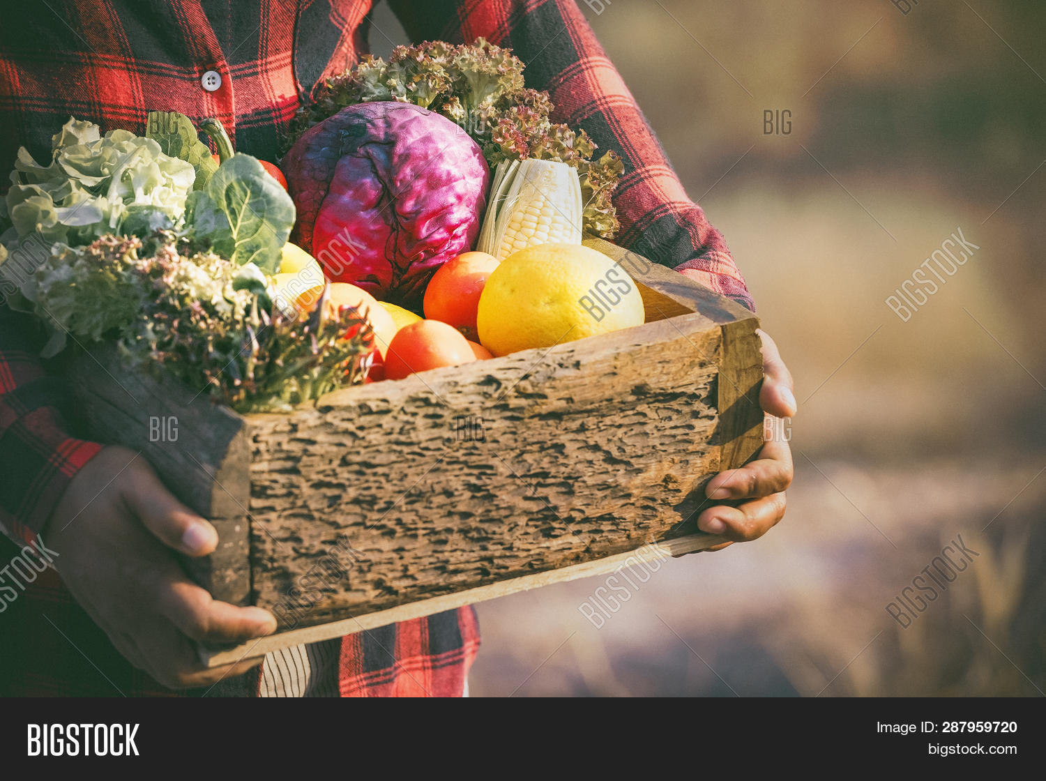 Fresh Organic Image & Photo (Free Trial) | Bigstock