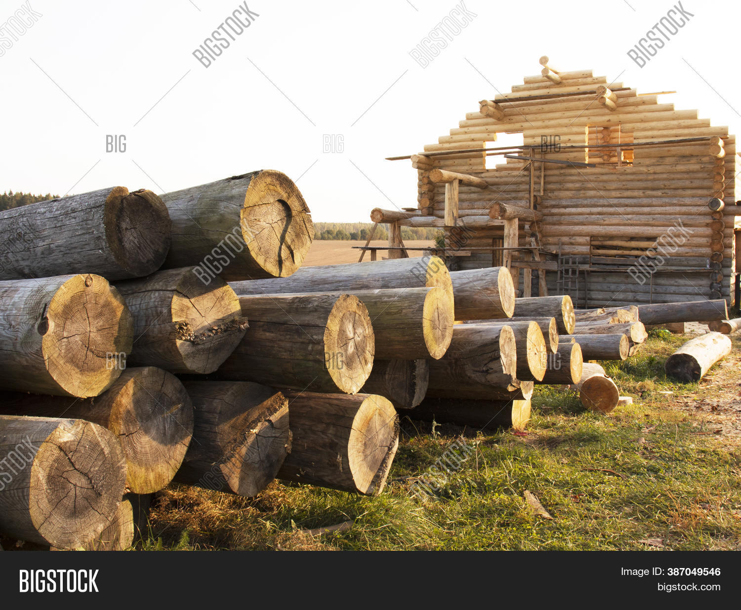 Timber House. Eco- Image & Photo (Free Trial) | Bigstock