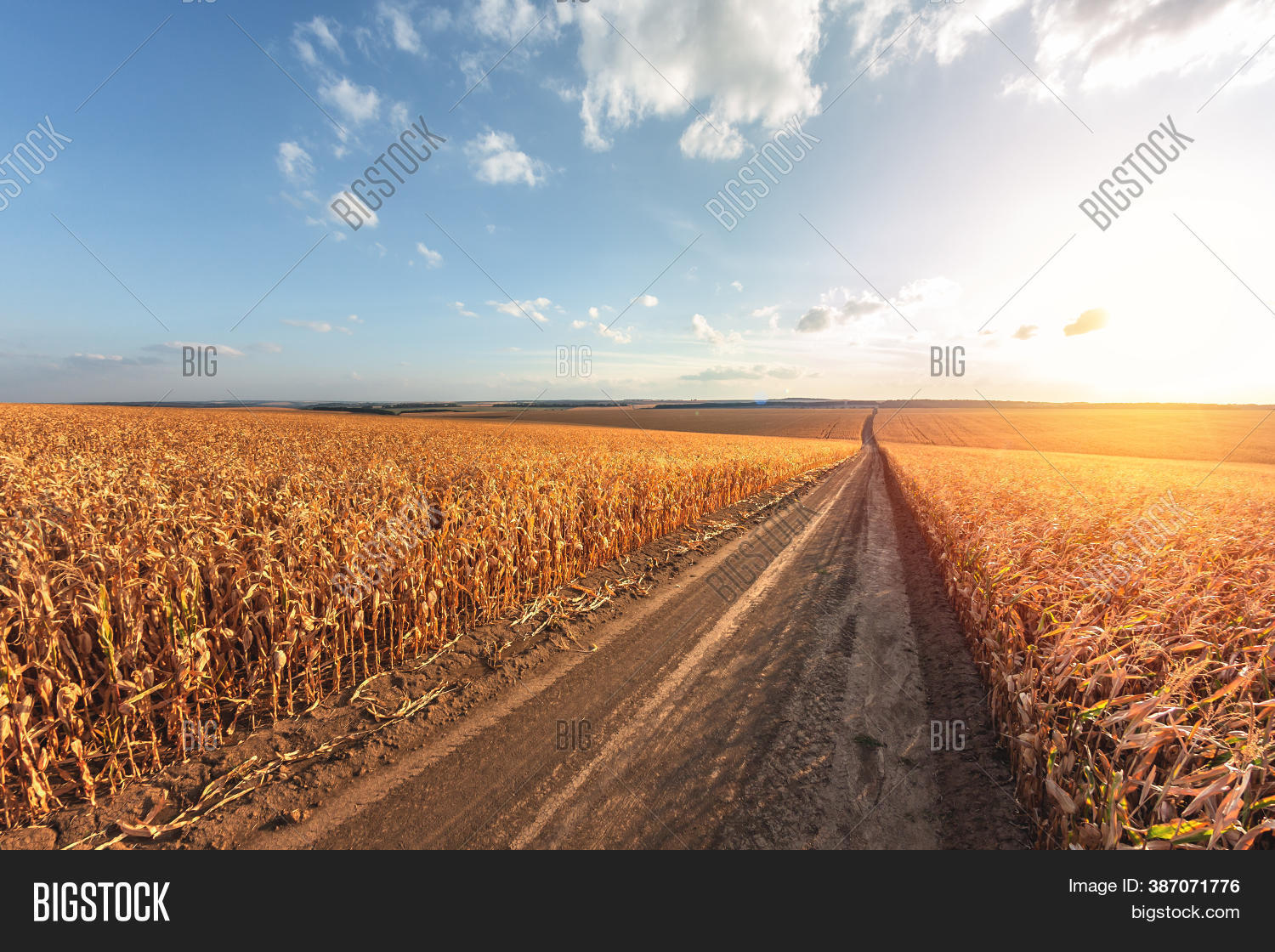 Large Agricultural Image & Photo (Free Trial) | Bigstock