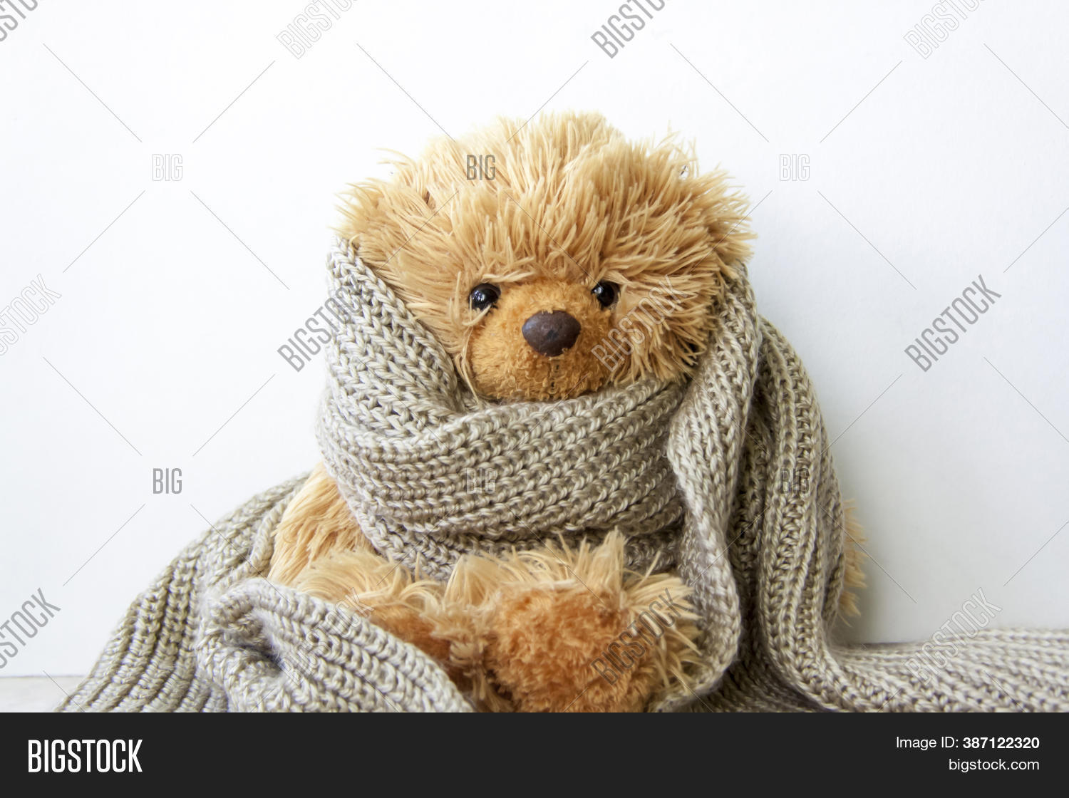 Toy Bear Warm Scarf. Image & Photo (Free Trial) | Bigstock
