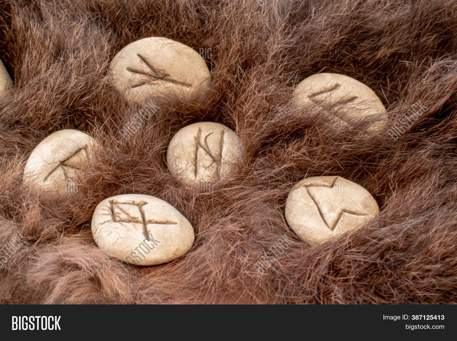 Stone Runes On Animal Image & Photo (Free Trial) | Bigstock