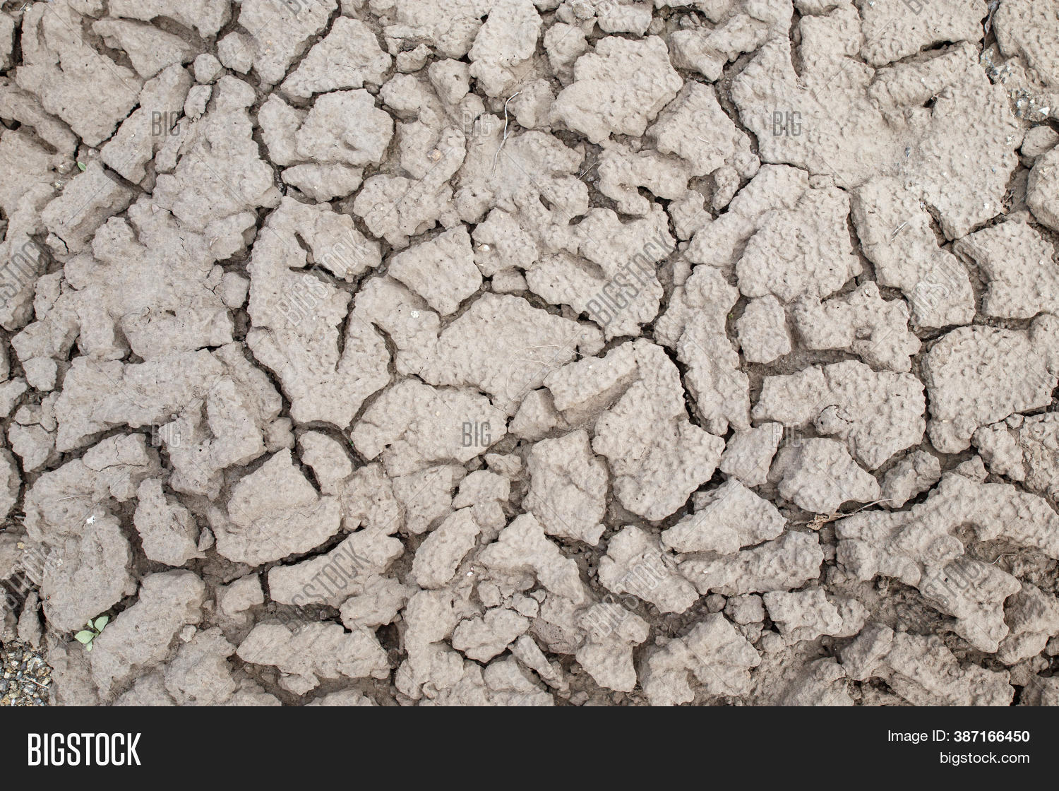 Cracked Earth Soil Image & Photo (Free Trial) | Bigstock