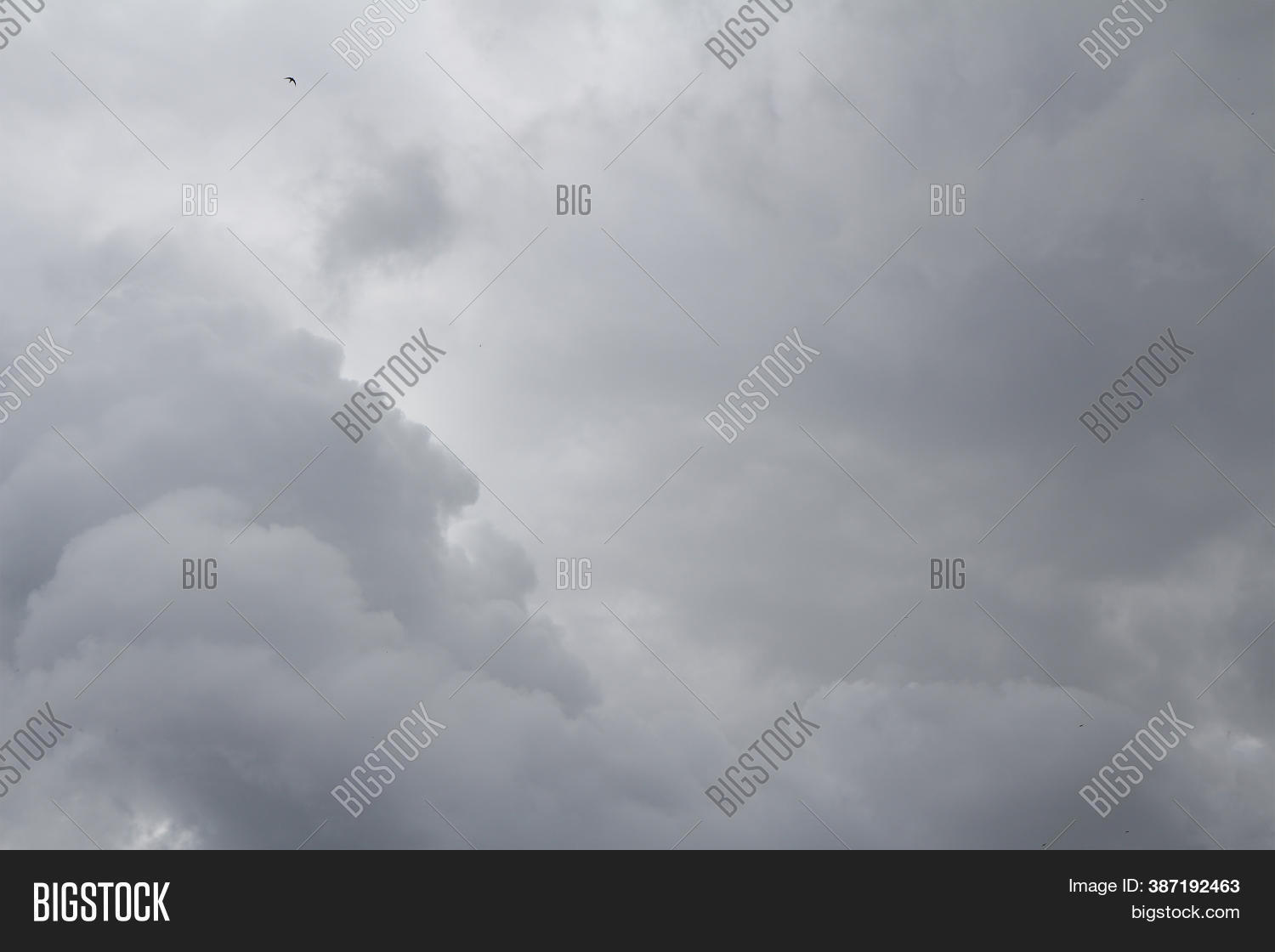 Bad Weather, Rain Image & Photo (Free Trial) | Bigstock