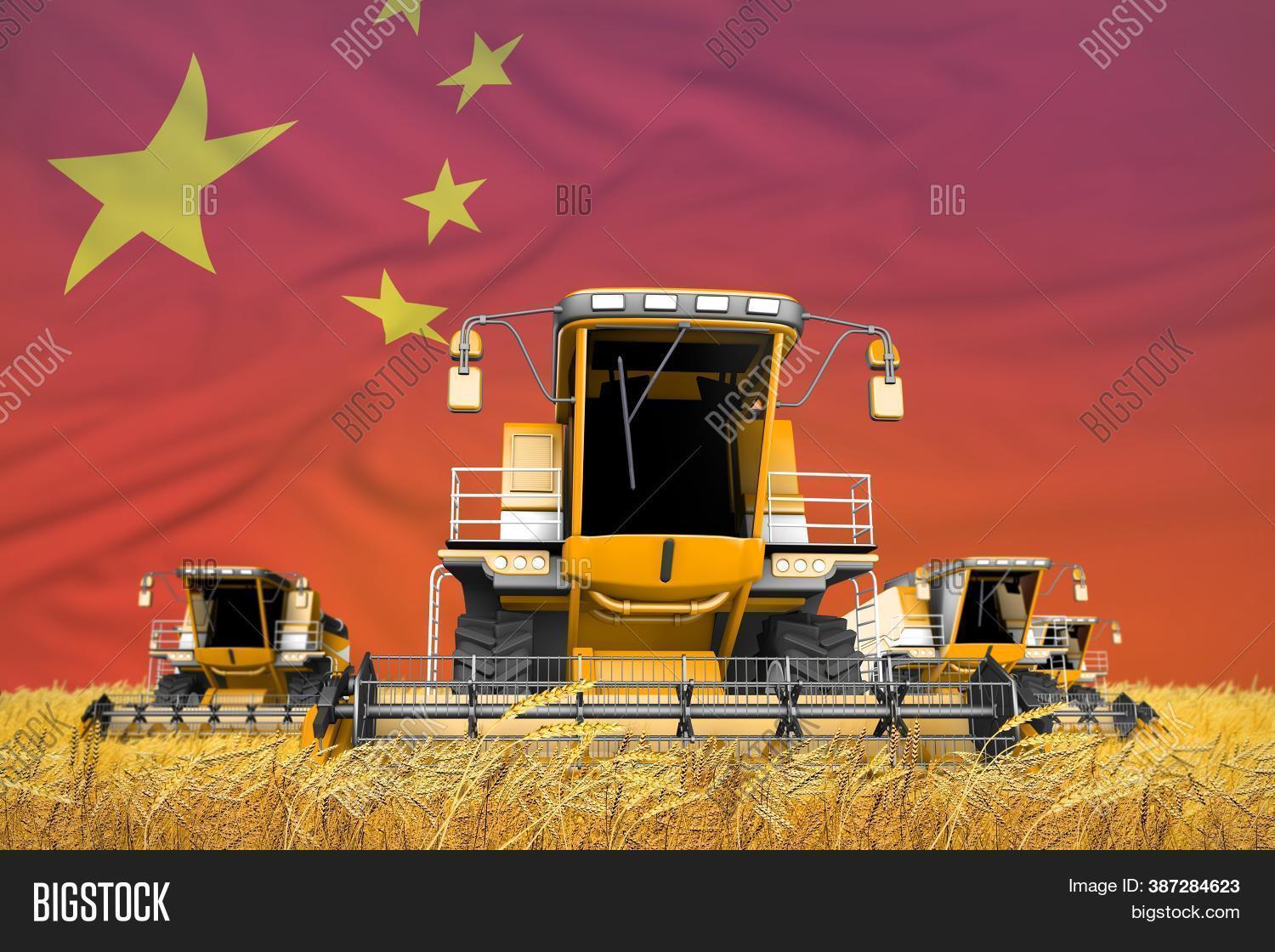 Four Orange Combine Image & Photo (Free Trial) | Bigstock