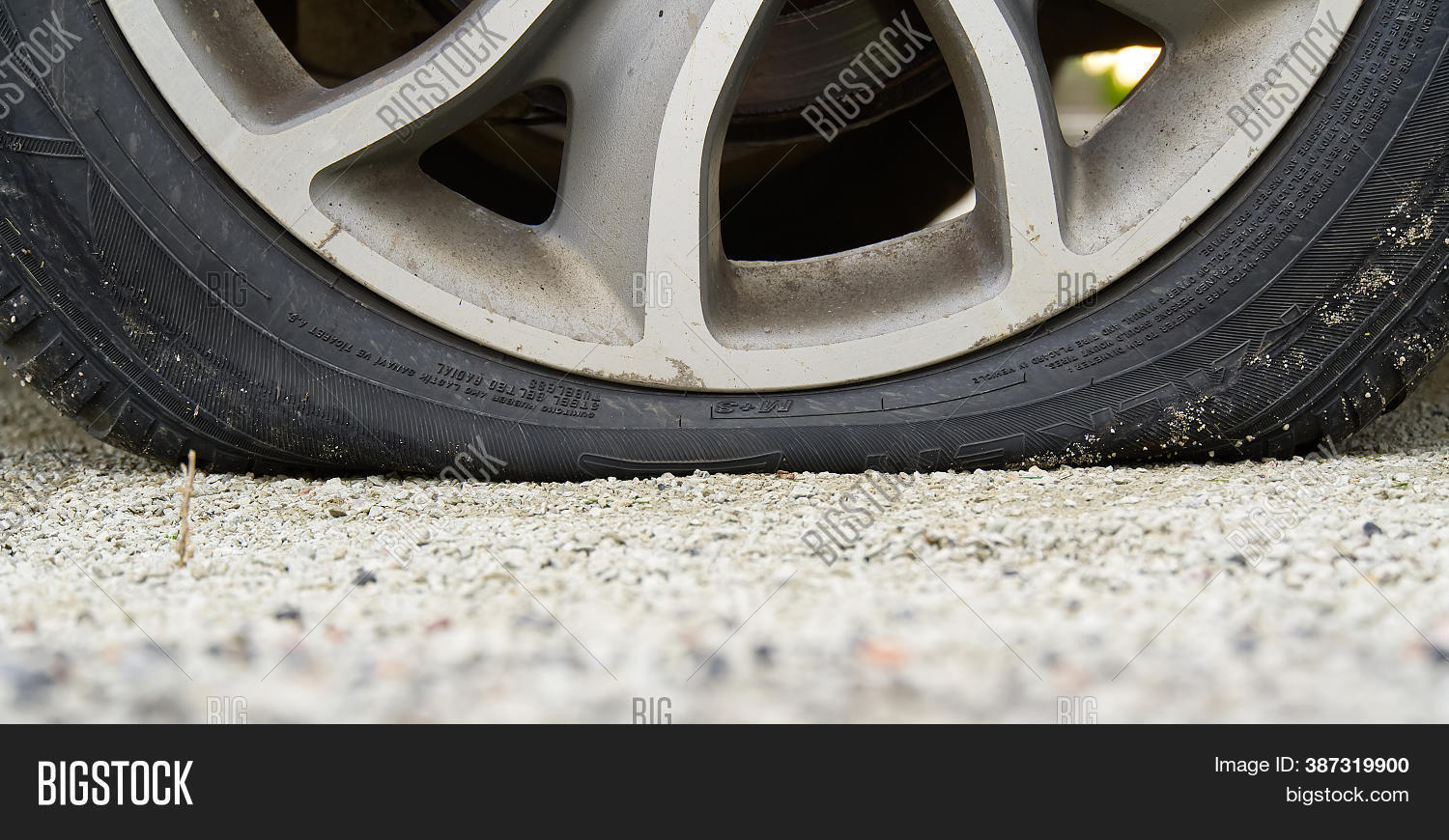 Close- Flat Rear Tire Image & Photo (Free Trial) | Bigstock