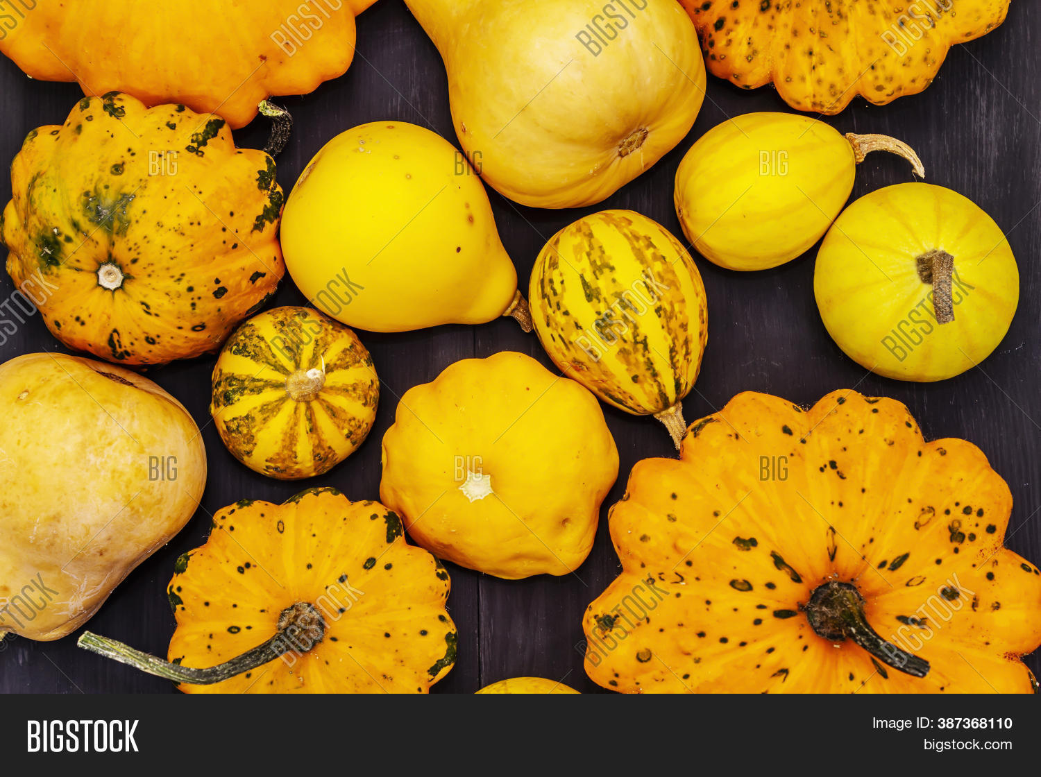 Harvest Various Ripe Image & Photo (Free Trial) | Bigstock