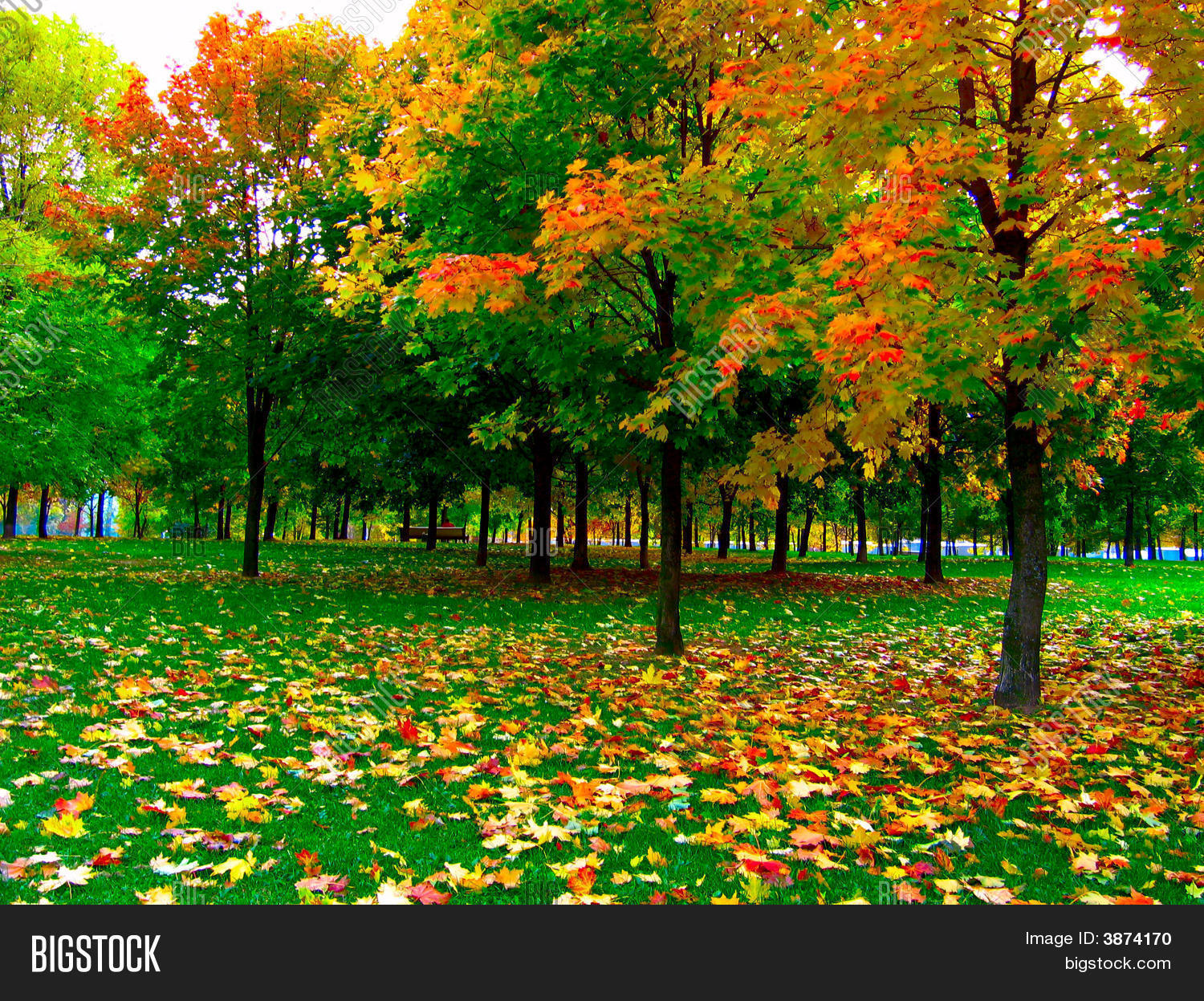 Autumn Park Image & Photo (Free Trial) | Bigstock