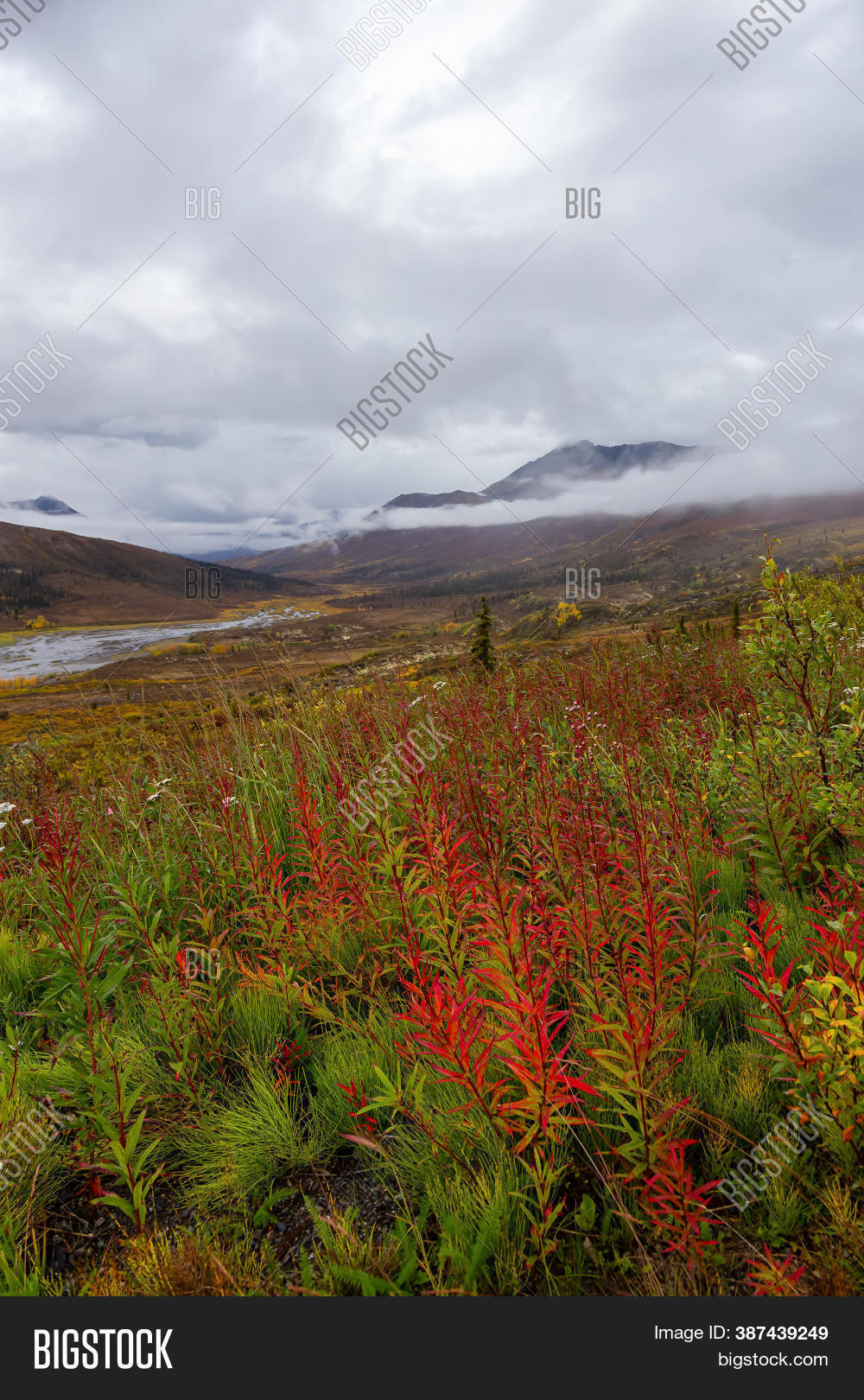 Beautiful View Wild Image & Photo (Free Trial) | Bigstock