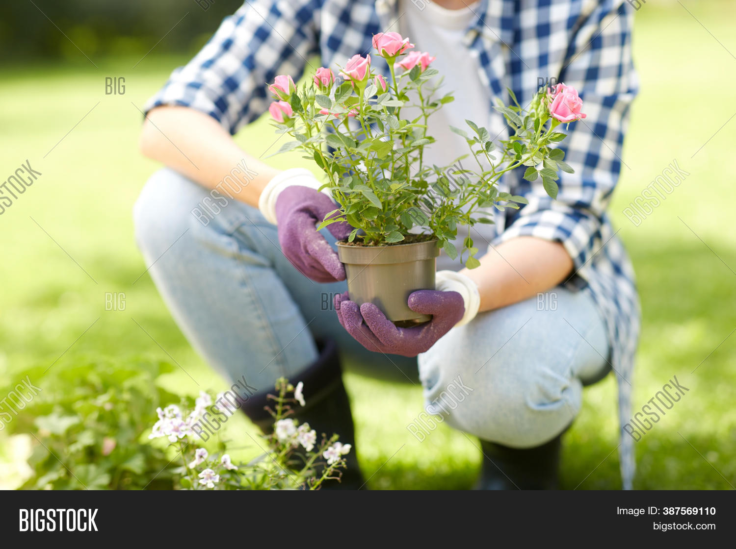 Gardening People Image & Photo (Free Trial) | Bigstock