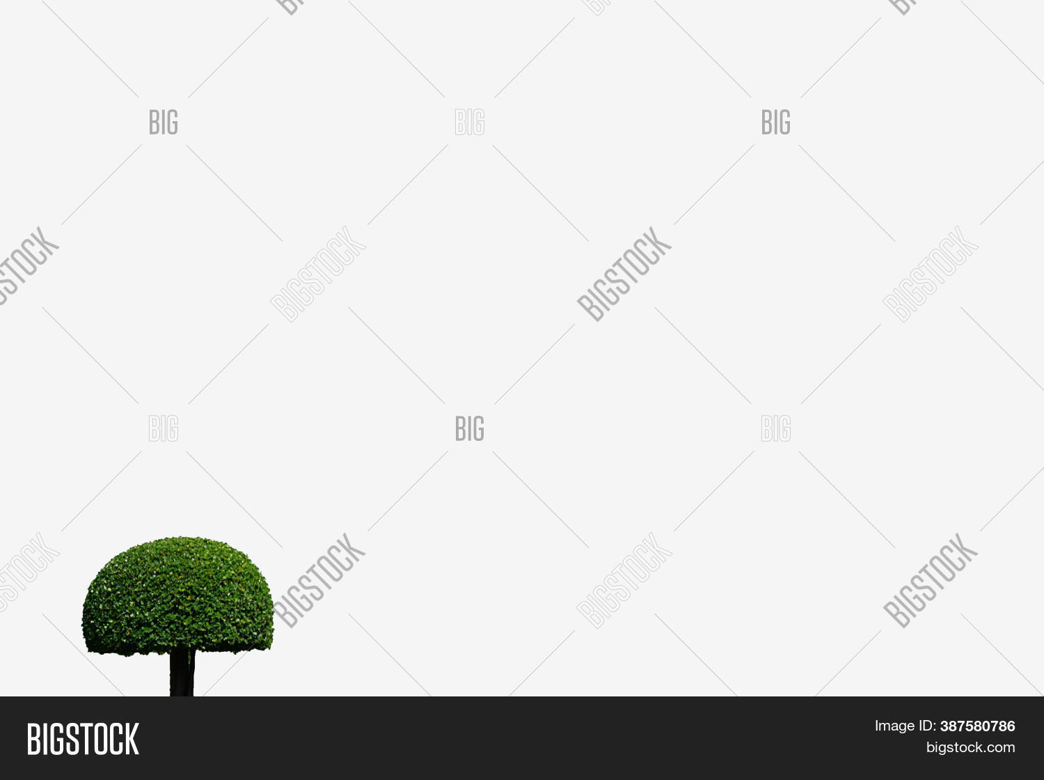 Little Tree Design On Image & Photo (Free Trial) | Bigstock