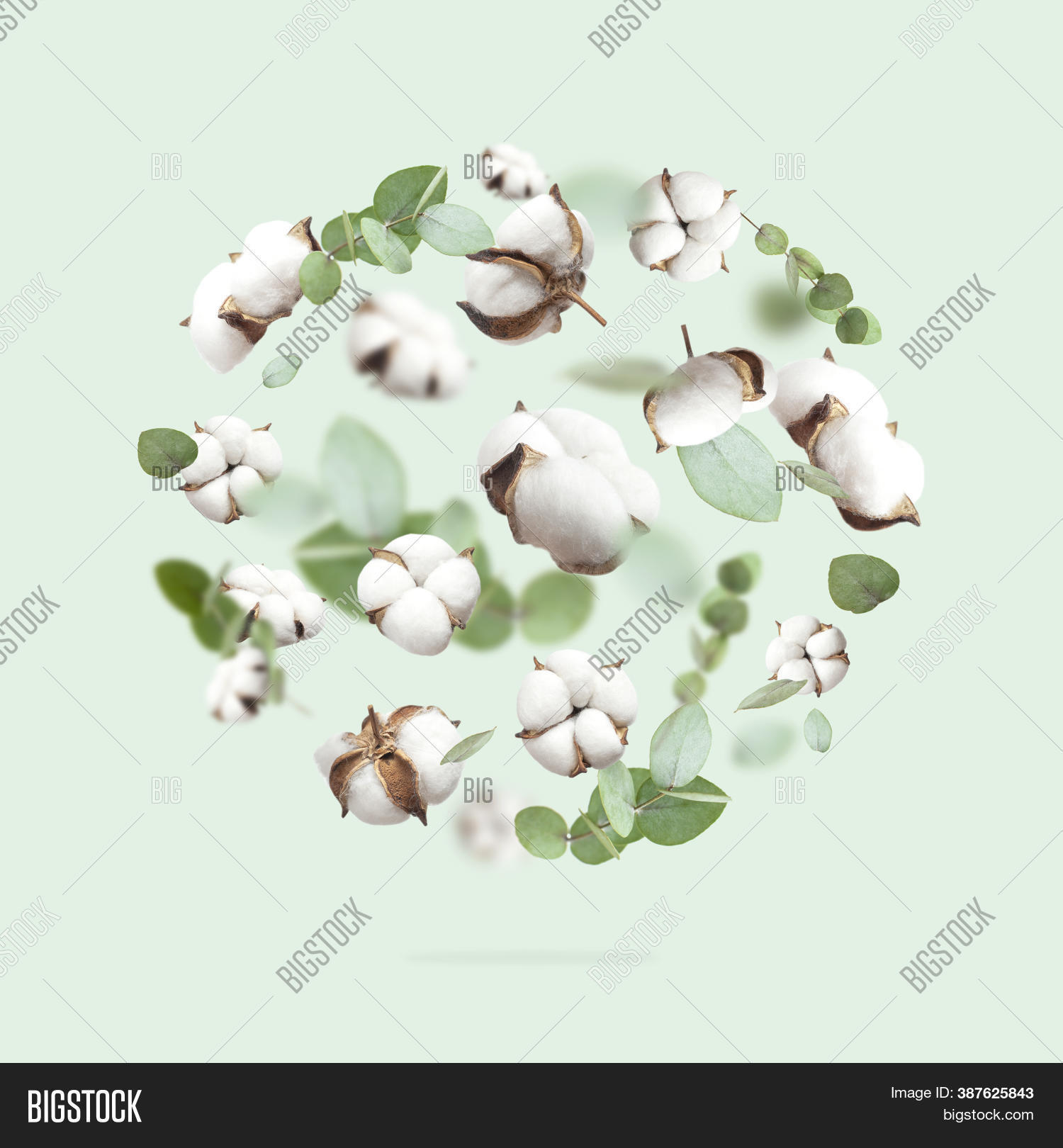 Flying Cotton Flowers Image & Photo (Free Trial) | Bigstock
