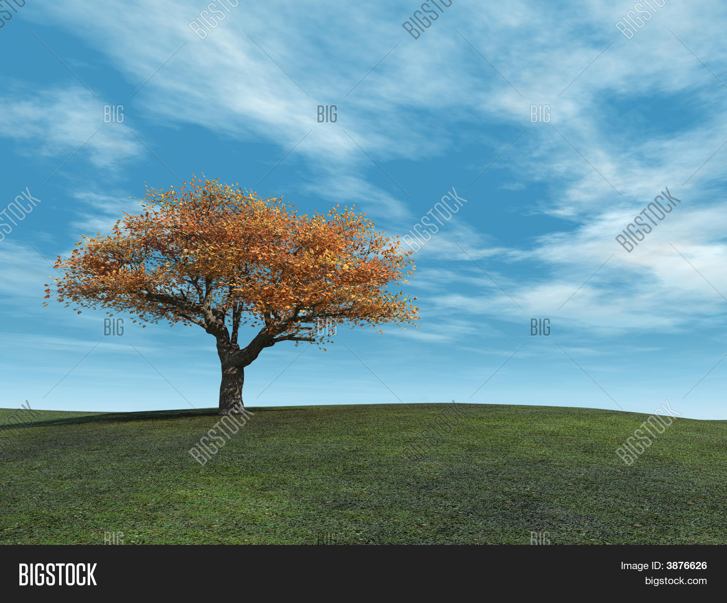 Golden Cherry Tree Image & Photo (Free Trial) | Bigstock