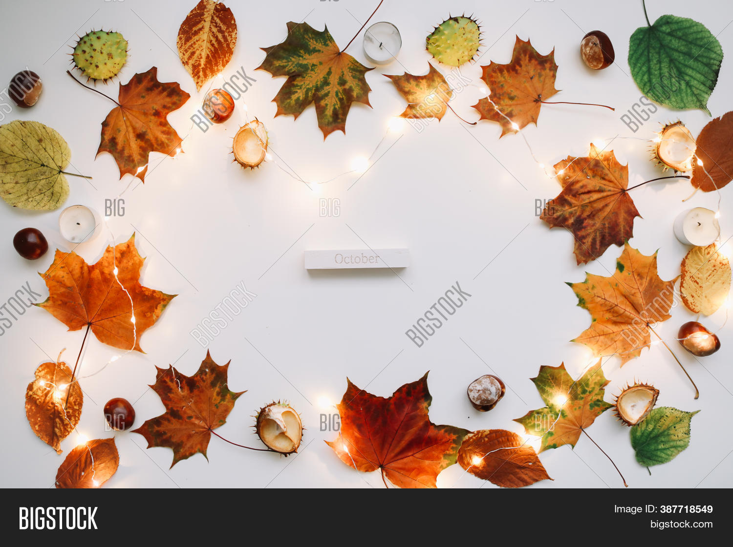 Autumn Composition. Image & Photo (Free Trial) | Bigstock