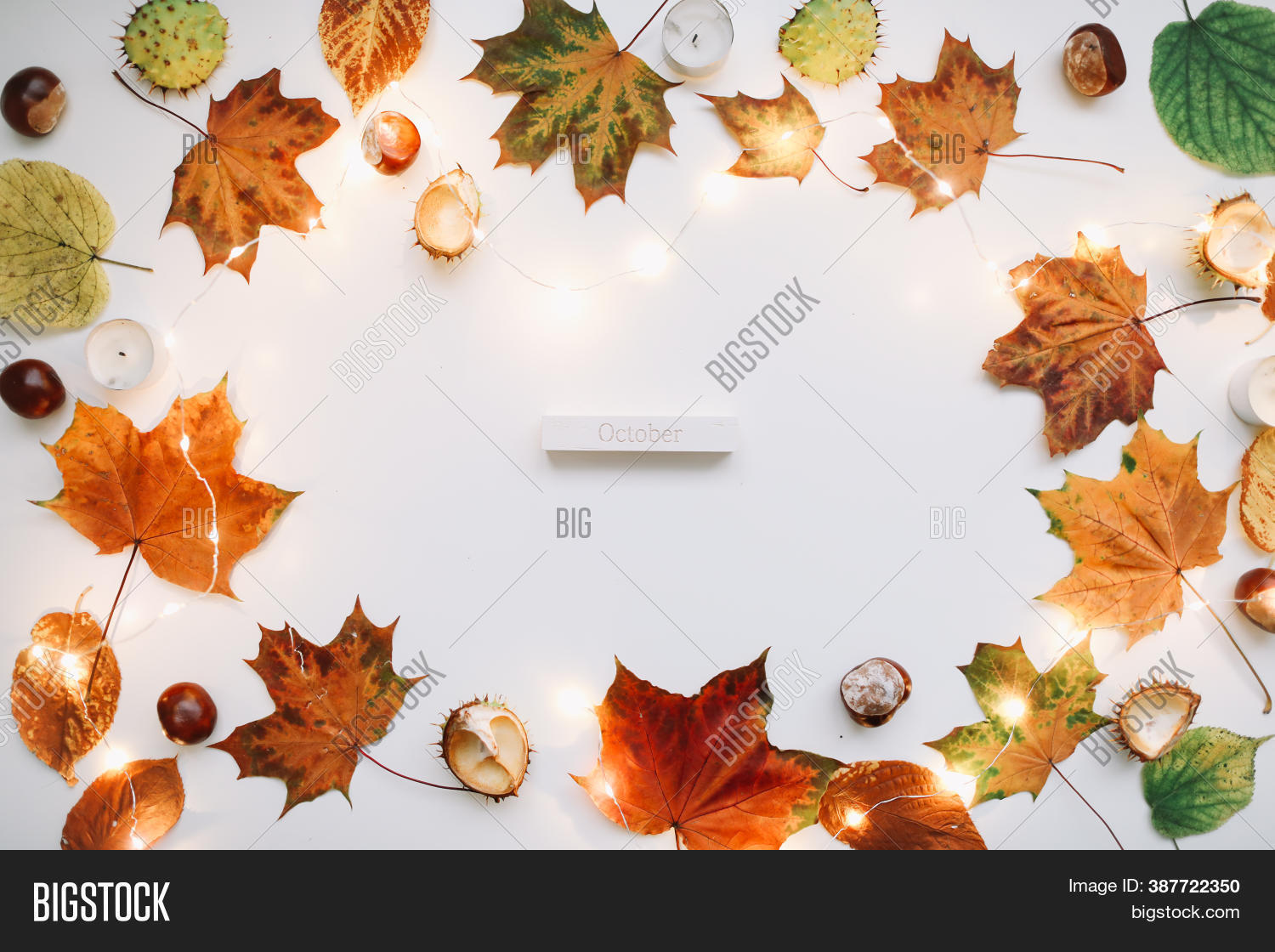 Autumn Composition. Image & Photo (Free Trial) | Bigstock