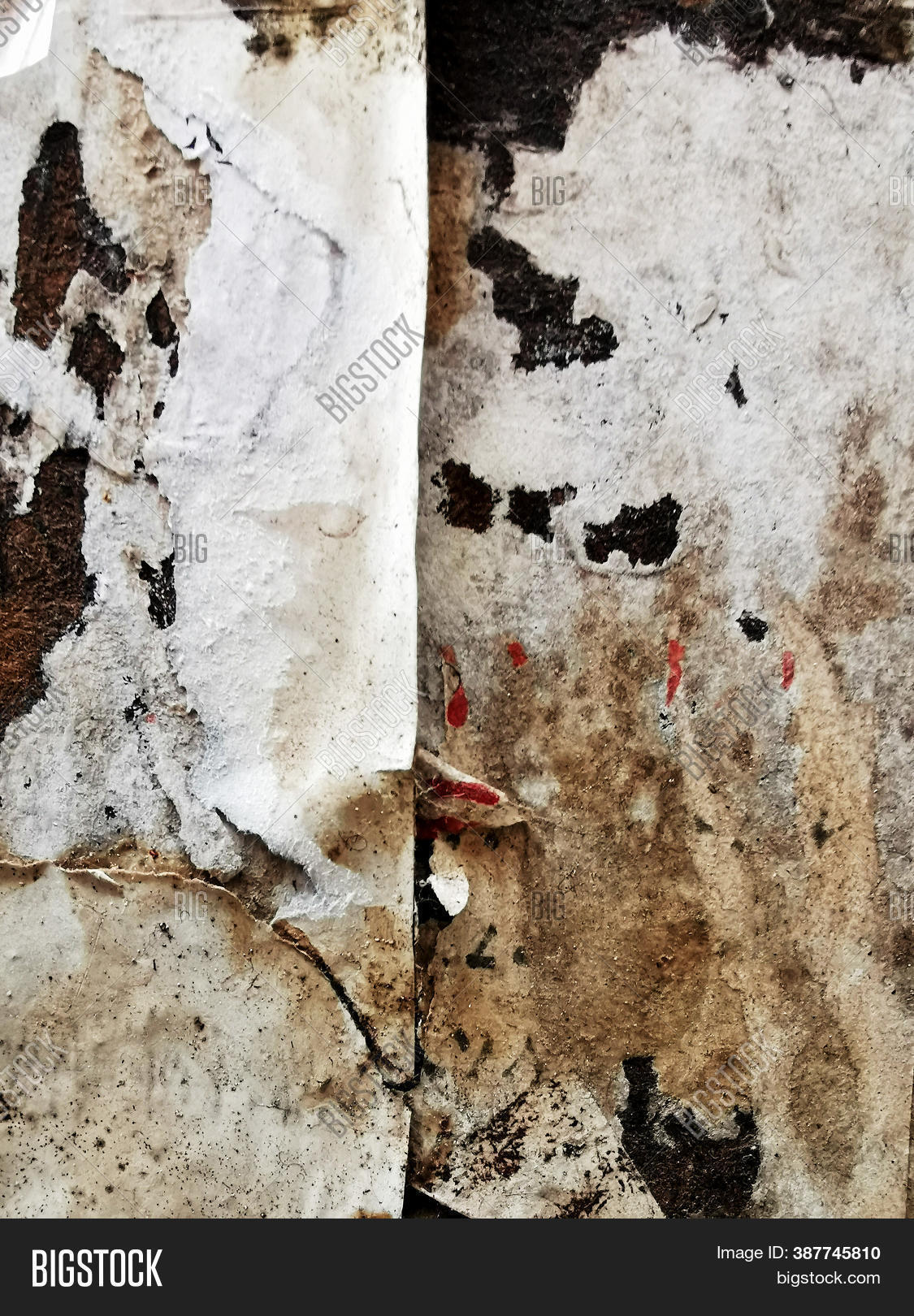 Old Ripped Blank Torn Image & Photo (Free Trial) | Bigstock