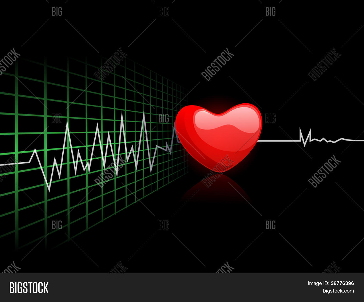 Vector y foto Cardiograma Con (prueba gratis) | Bigstock