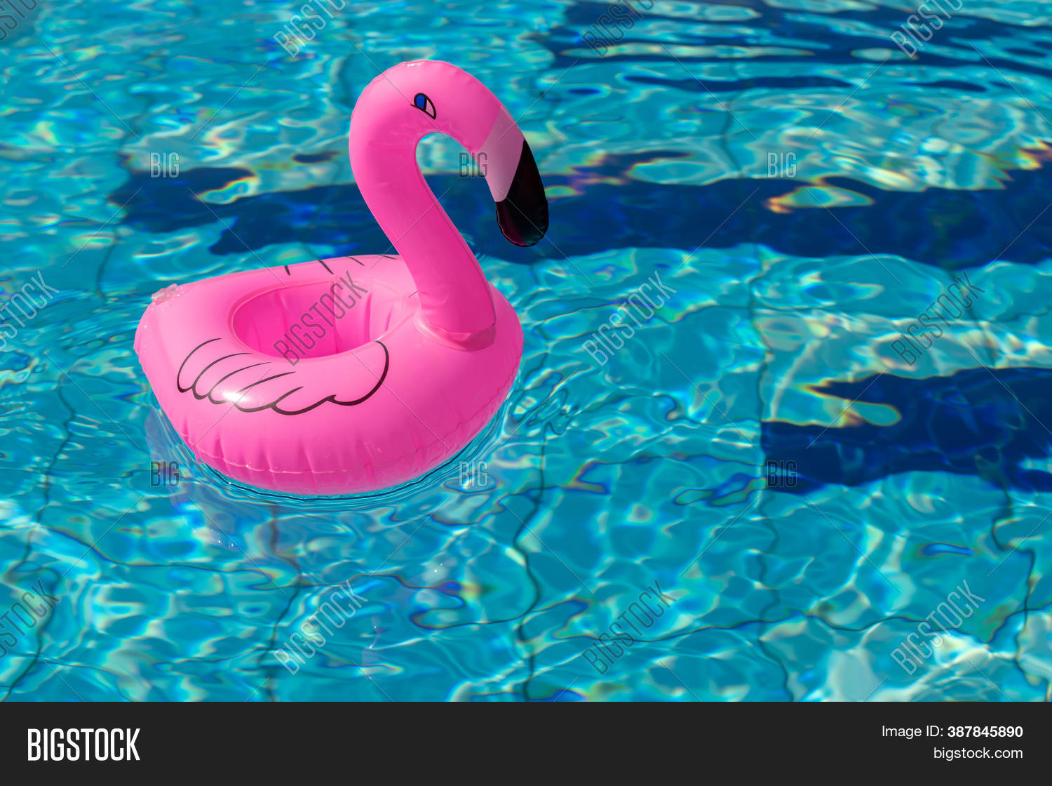 Pink Pool. Pink Image & Photo (Free Trial) | Bigstock