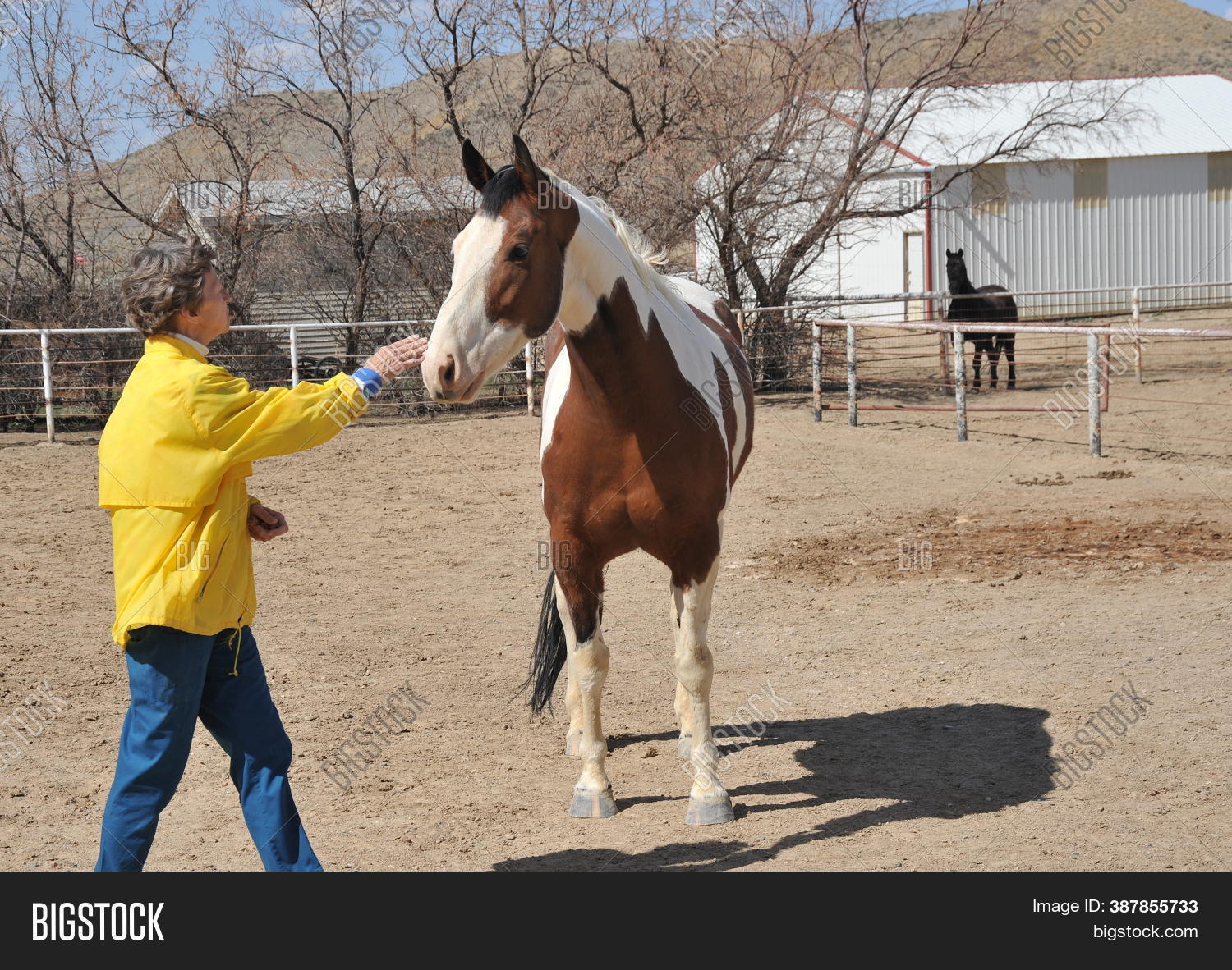 Mature Female Rancher Image & Photo (Free Trial) | Bigstock
