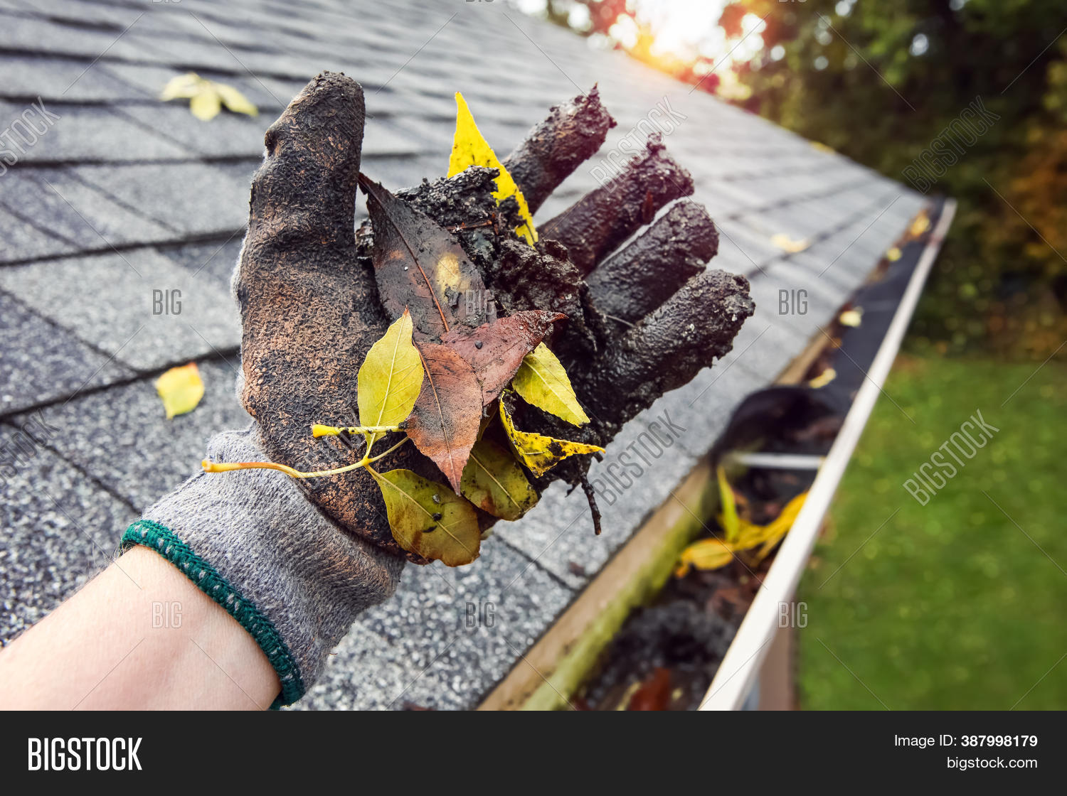 Cleaning Leaves Debris Image & Photo (Free Trial) | Bigstock