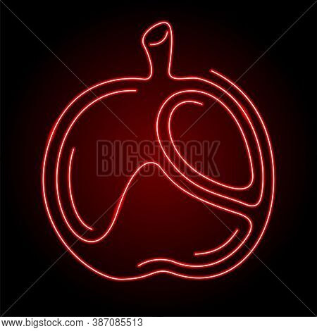 Beautiful Colorful Vector & Photo (Free Trial) | Bigstock