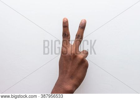Boy Hand Showing Image & Photo (Free Trial) | Bigstock